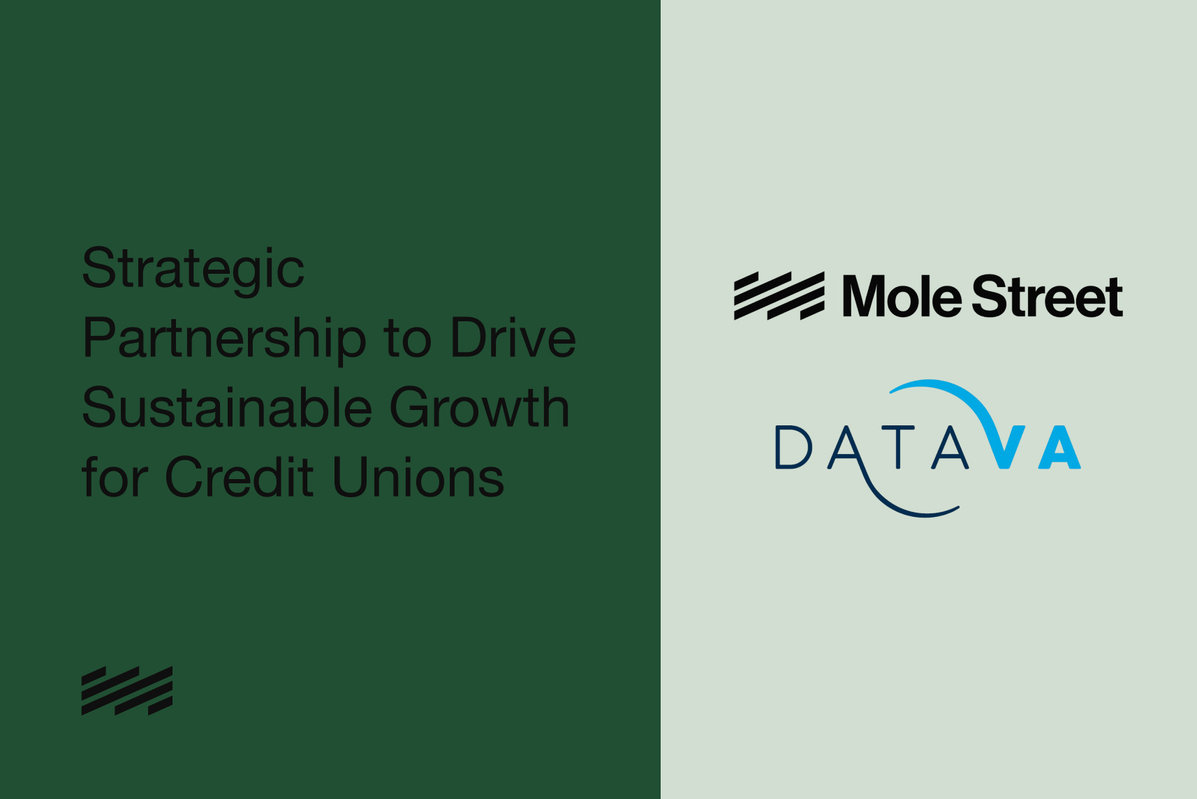 Mole Street and Datava Partner to Help Credit Unions Unlock Data-Driven ...